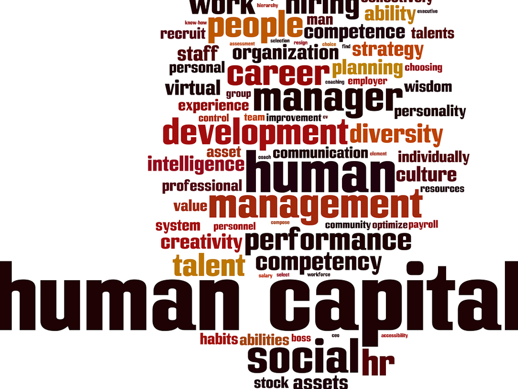 Human capital: Growing needs and lack of trained assets – Islamic ...